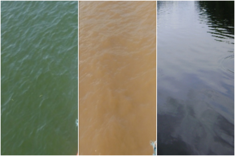 Conheça as diferentes cores de águas em rios da Amazônia e entenda suas ...